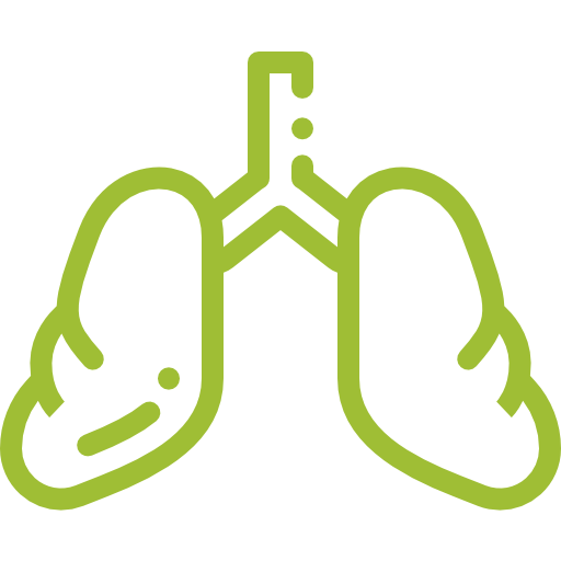 Behandelingen en specialisaties – Fysiotherapie De Laanweg